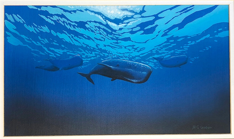 Cachalot, Whale Pod, Humanx Commonwealth. Alan Dean Foster - Etsy