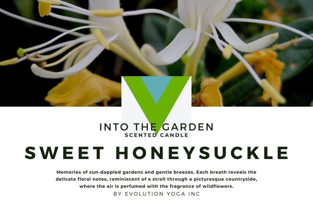 Sweet Honeysuckle - 3 Wick Candle - Etsy