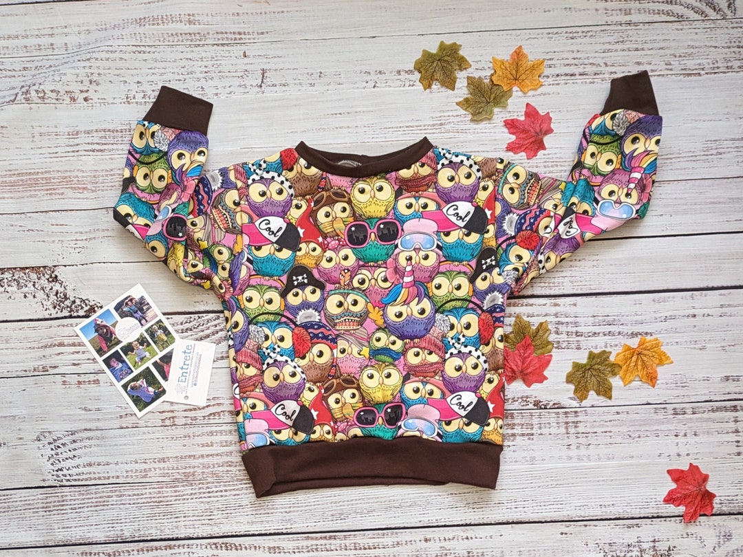 Colourful Owls Sweatshirt | Fun Owls Top | Babies Owl Pullover | Unisex ...