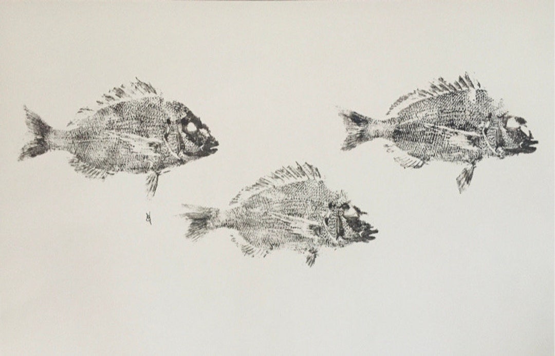 Black Ink Fish Print - Tres Amigas - Etsy