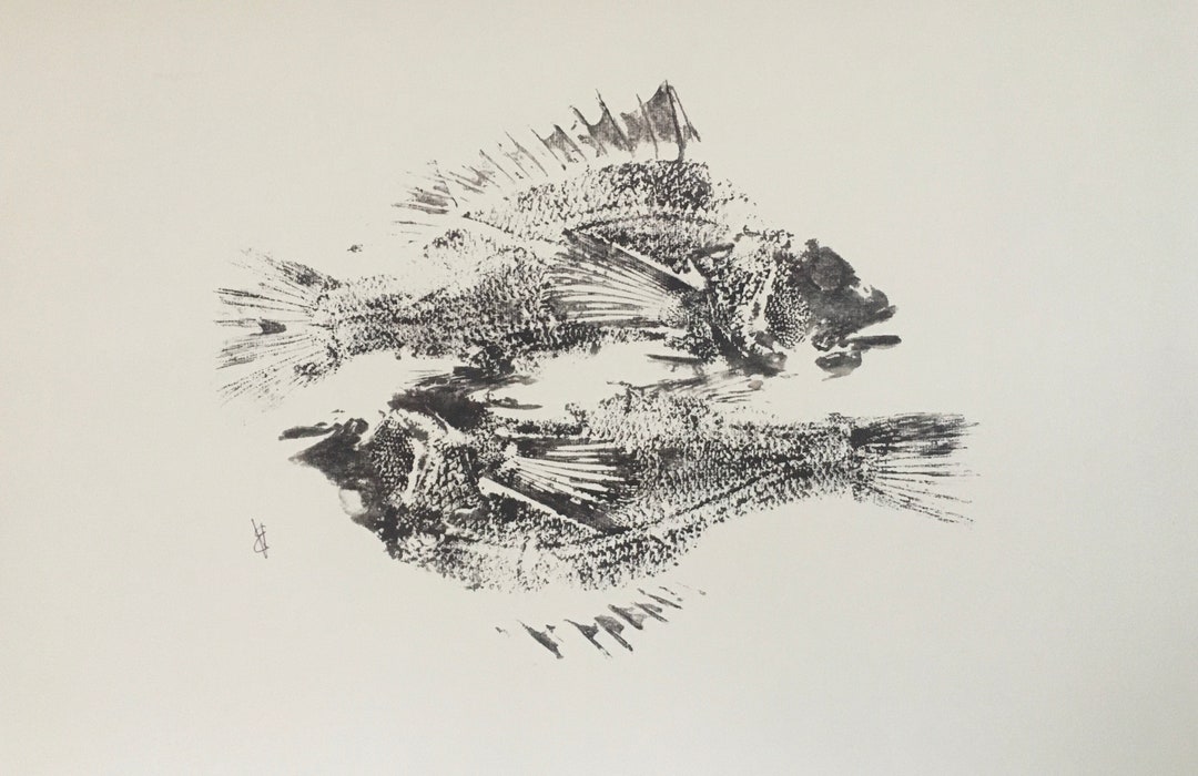 Black Ink Fish Print - Reflections - Etsy