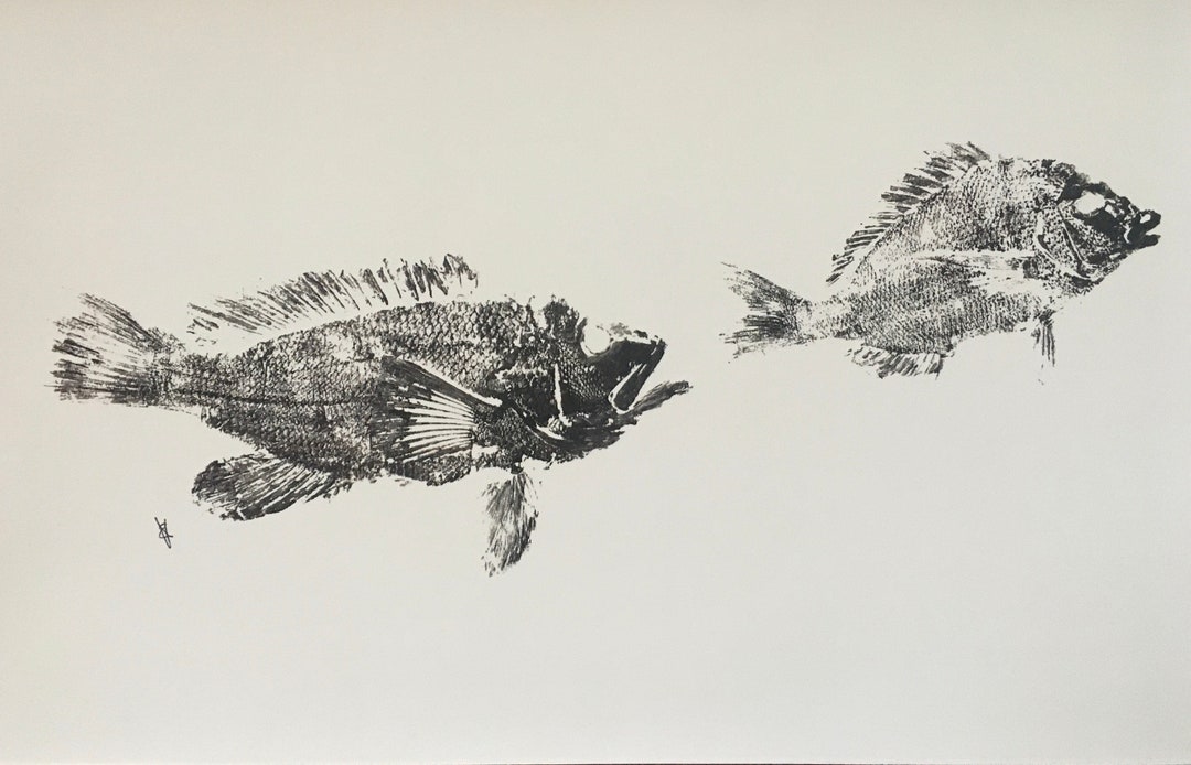 Black Ink Fish Print - Chasing Tail - Etsy