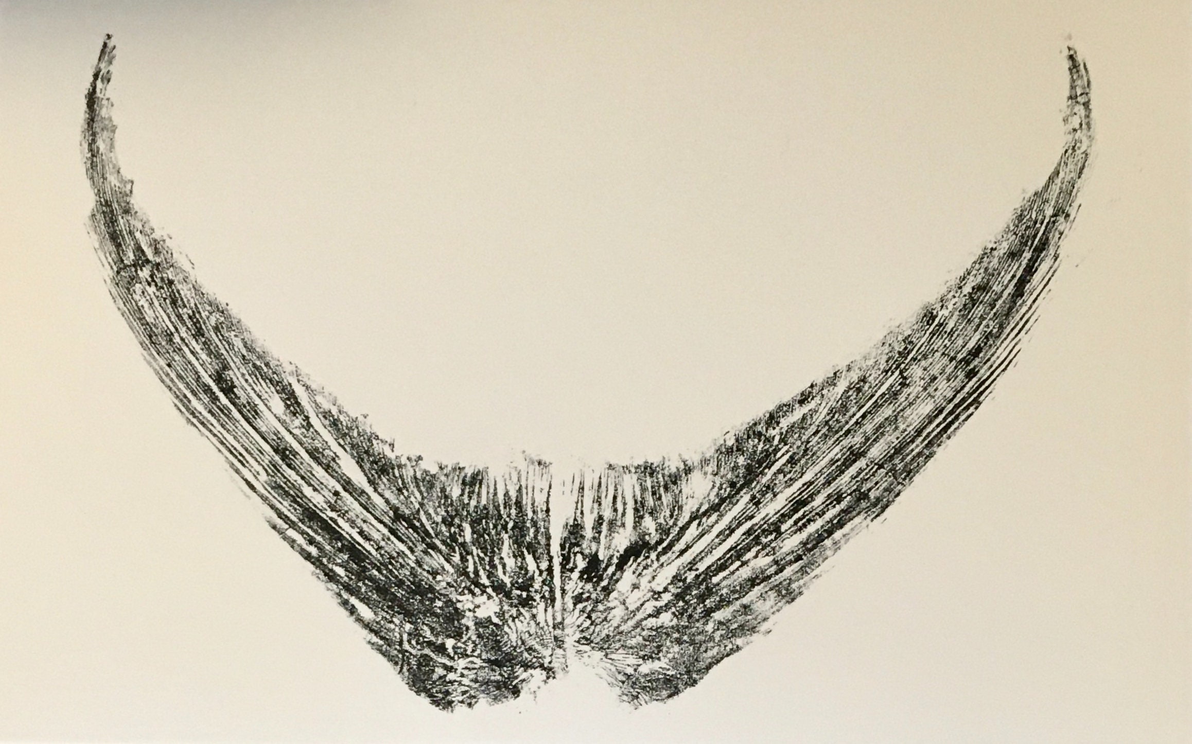 Swordfish Tail Prints - Etsy