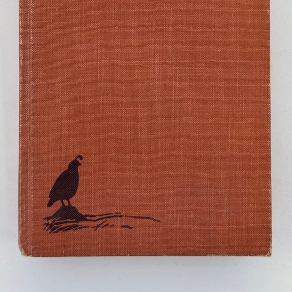 Antique Bird Field Guide - Etsy