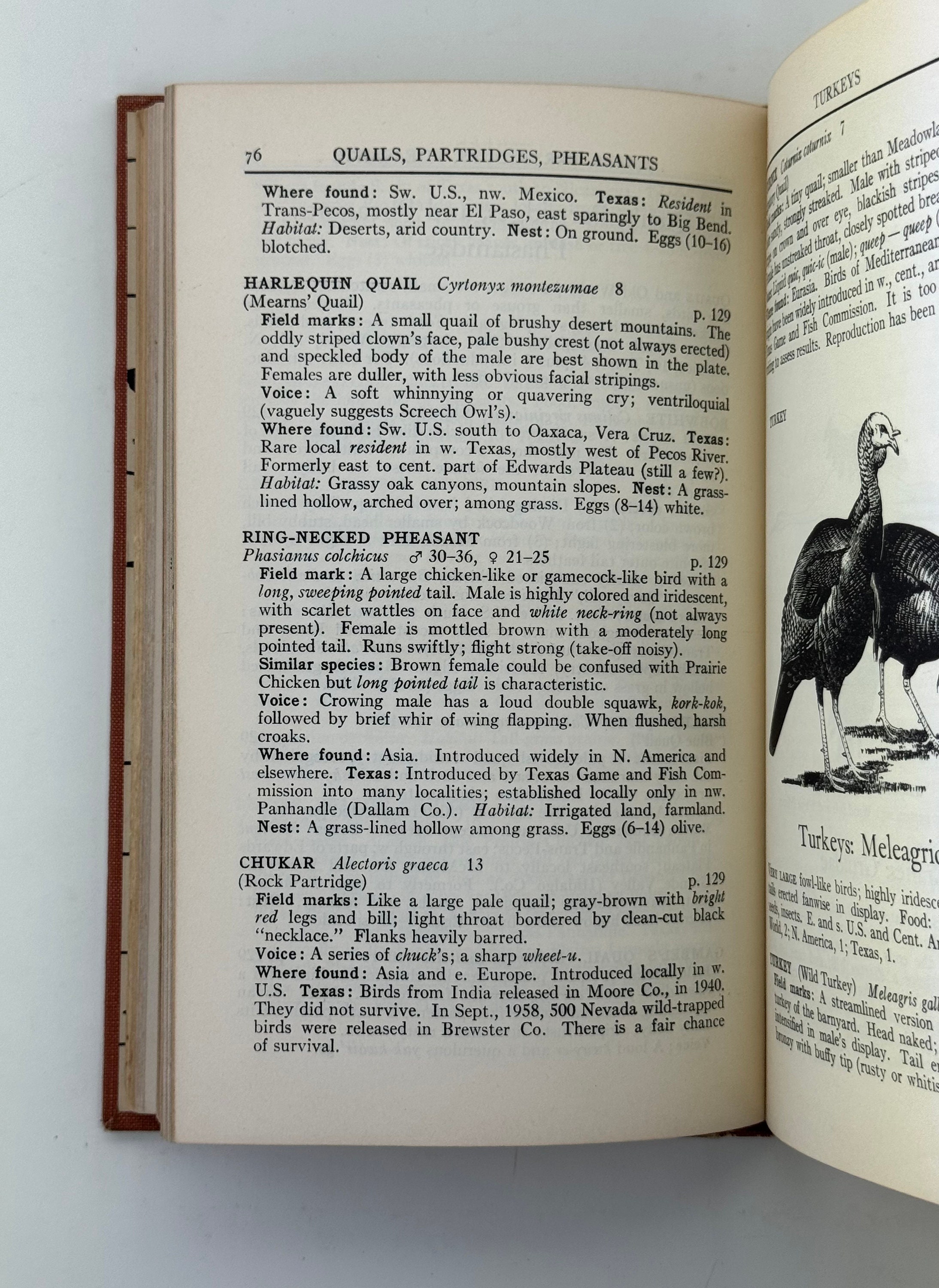 A Field Guide to the Birds of Texas by Roger Tory Peterson 1960 First ...