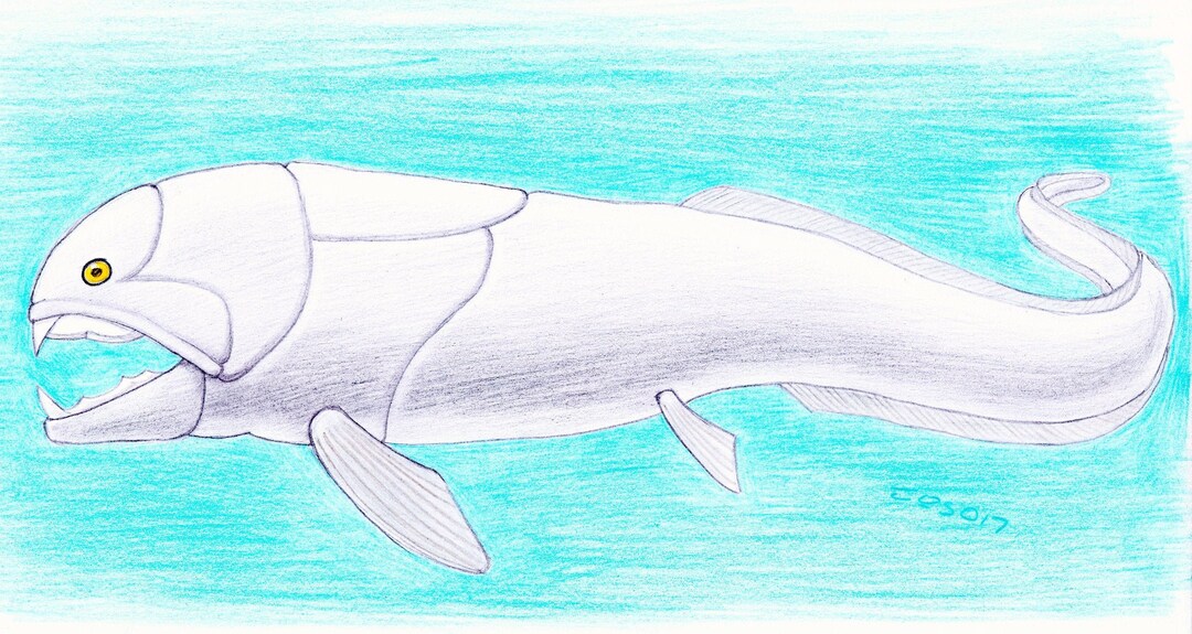 Dunkleosteus, Prehistoric Fish, Extinct, Sea Life - Etsy