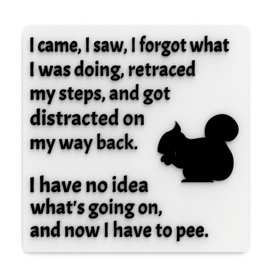 Funny Sign | I Came, I Saw, I Forgot What I Was Doing, I Have Idea What ...