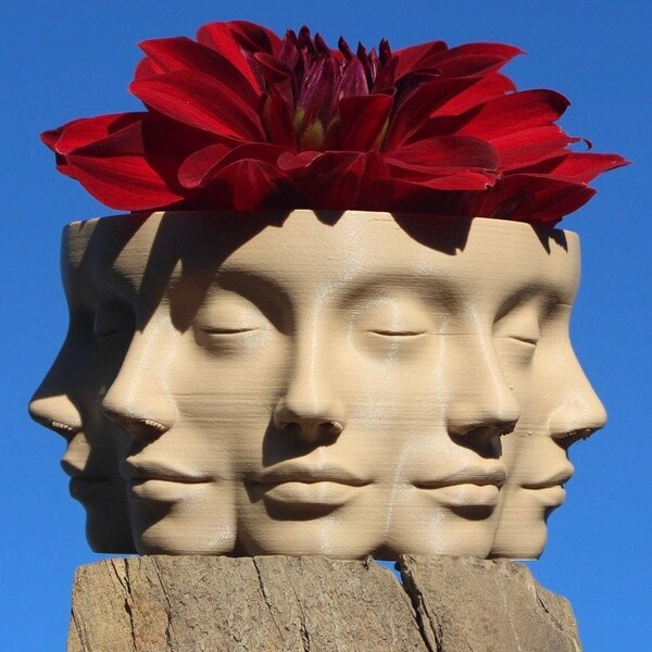 Multi Face Planter - Etsy