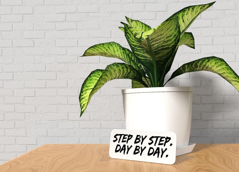 Step by Step Day by Day | Funny Sign for Home or Office - Etsy