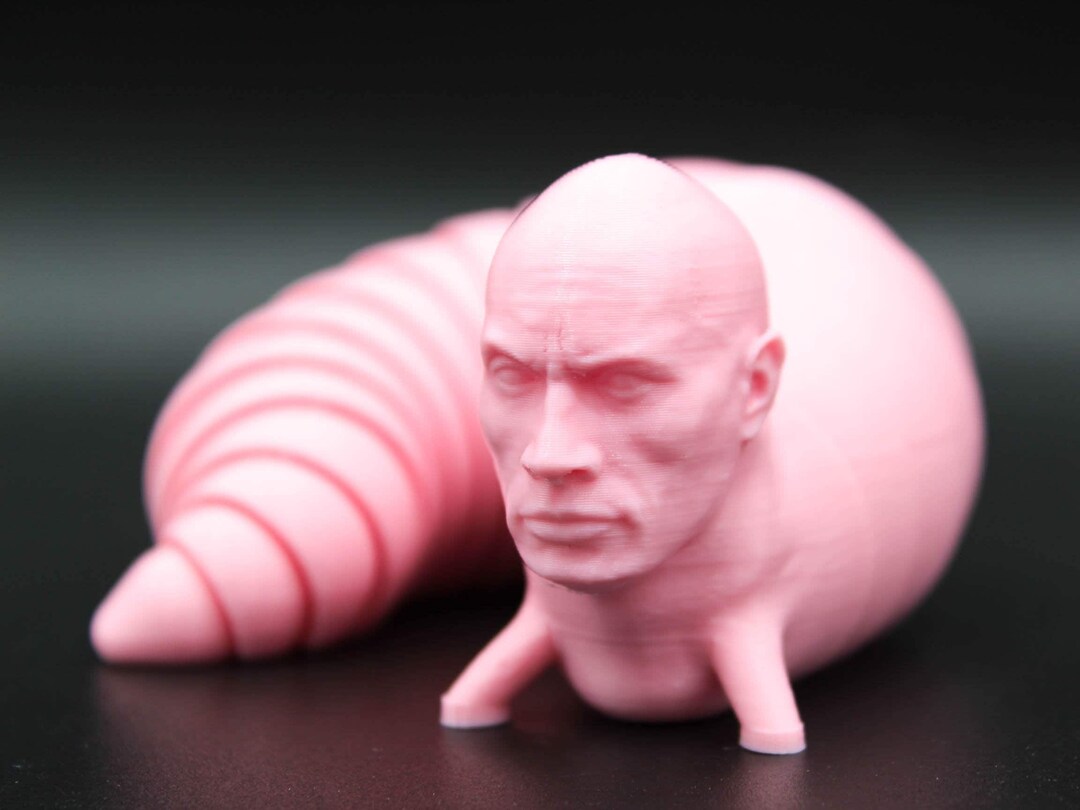 The Rock Fidget Slug - Etsy