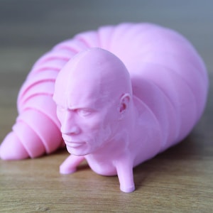 The Rock Fidget Slug - Etsy