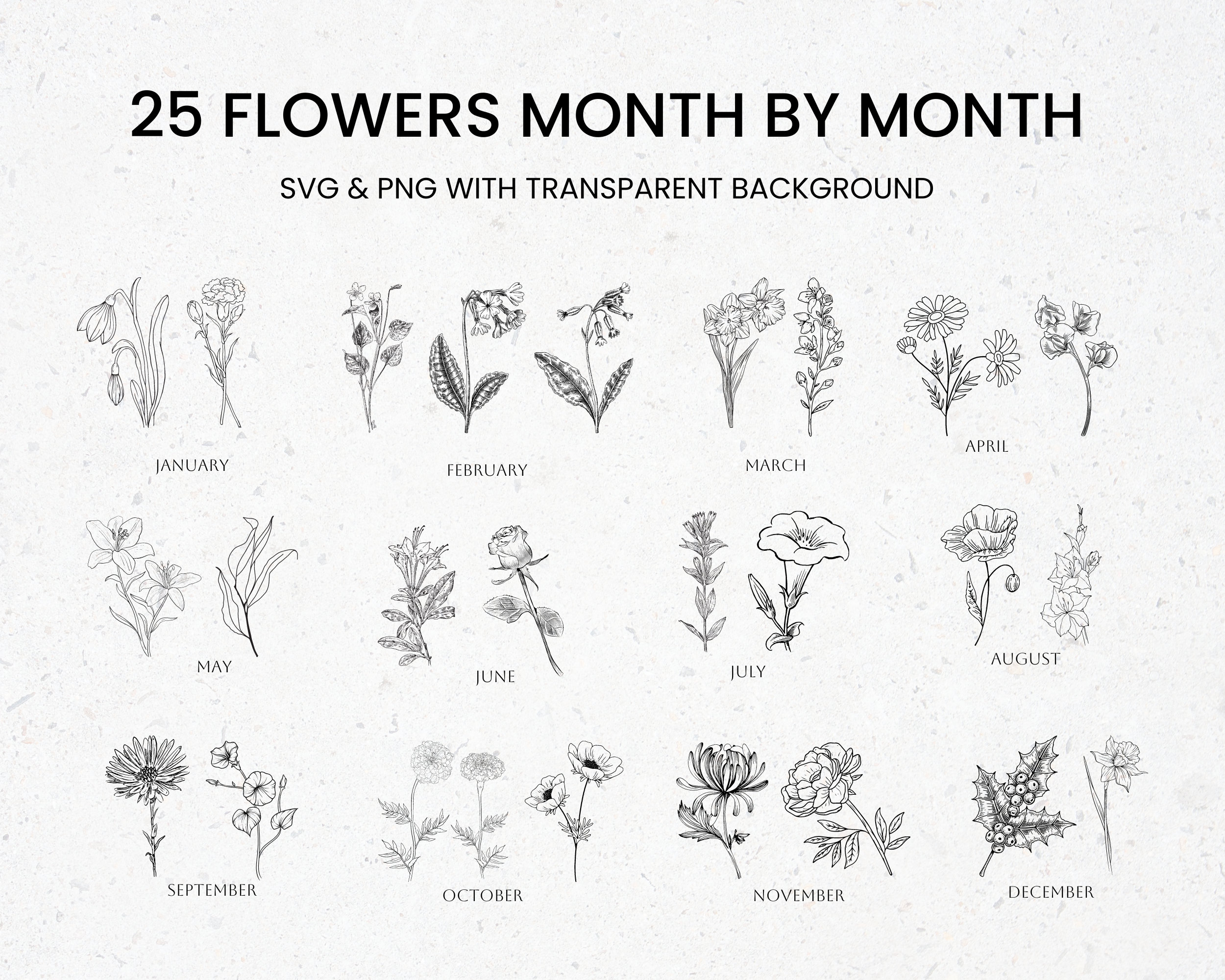 Birth Month Flowers, Hand Drawn Vector Illustrations, Botanical Art ...
