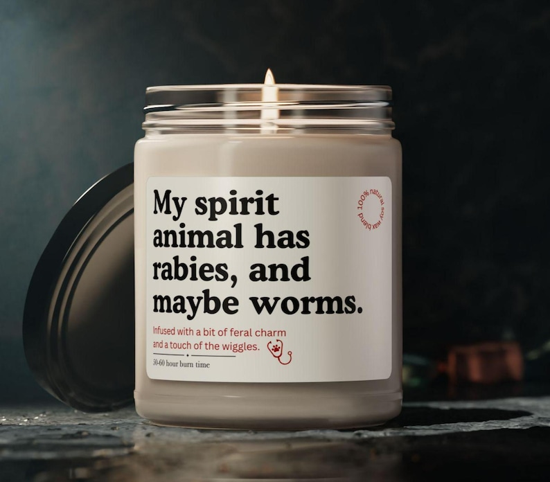 Funny Vet Tech Candle Veterinarian Gifts for Vet Tech Week Animal ...