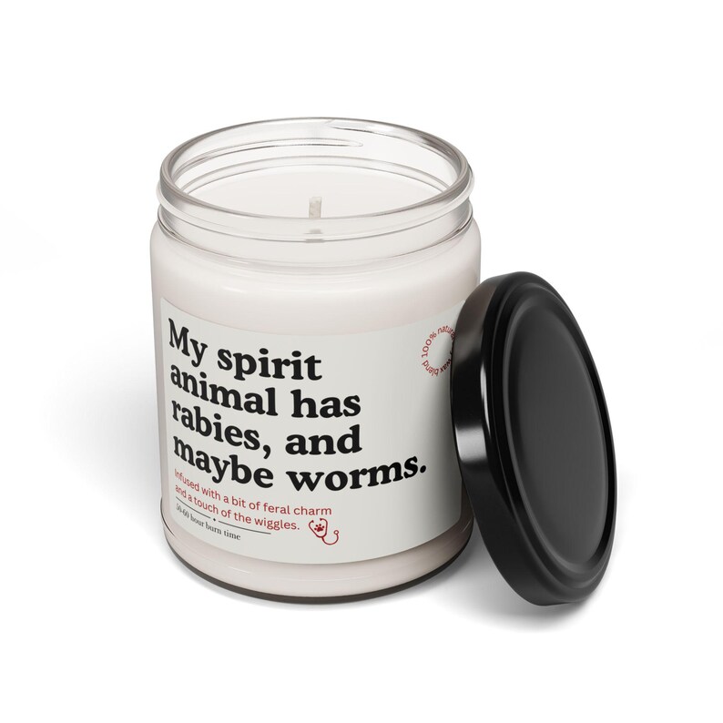 Funny Vet Tech Candle Veterinarian Gifts for Vet Tech Week Animal ...