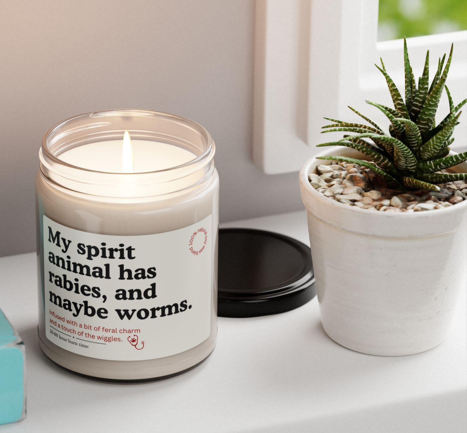 Funny Vet Tech Candle Veterinarian Gifts for Vet Tech Week Animal ...