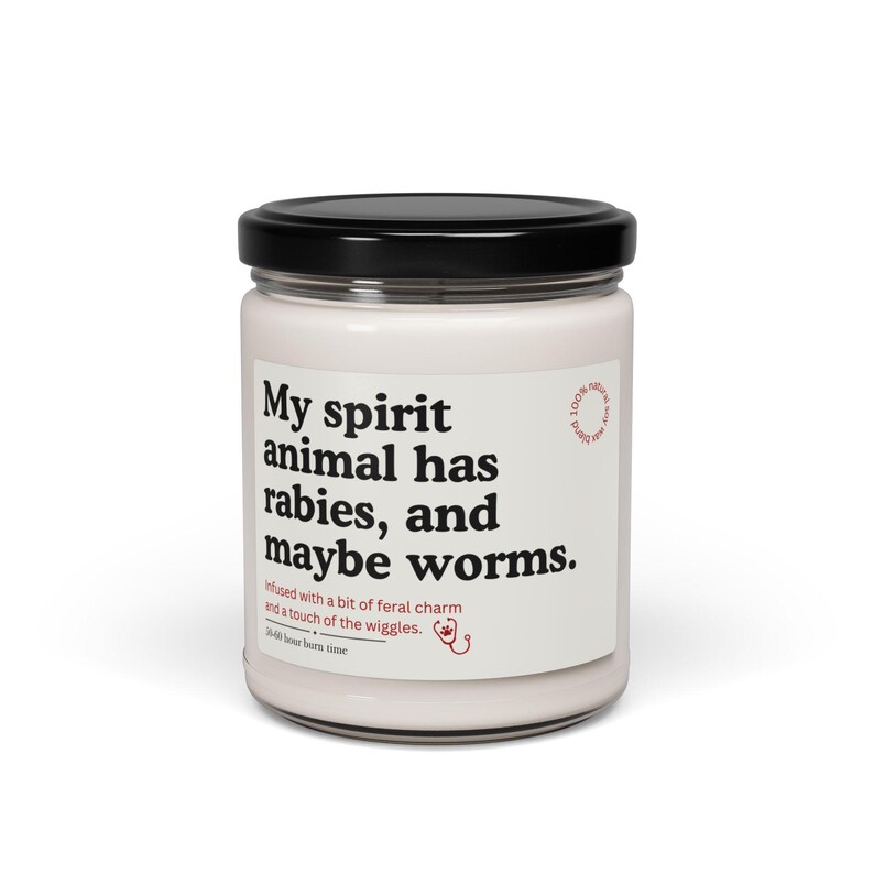 Funny Vet Tech Candle Veterinarian Gifts for Vet Tech Week Animal ...
