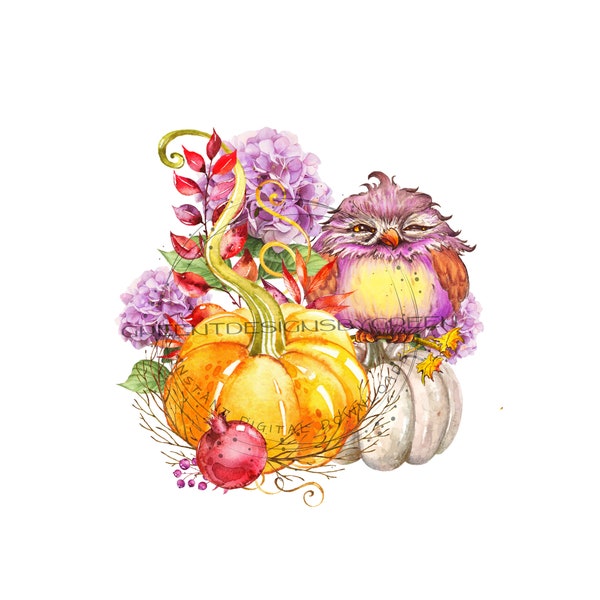Fall Owl Clipart - Etsy