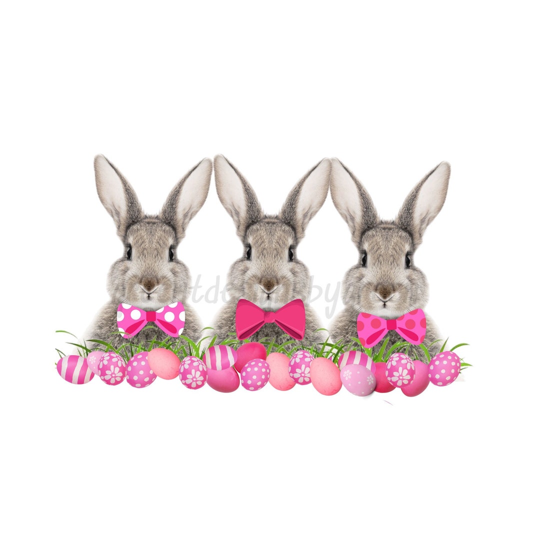 Three Bunny Rabbits PNG With Pink Bow Ties and Easter - Etsy