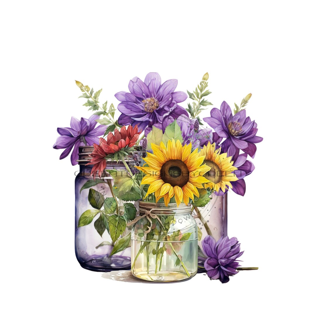 Sunflower and Daisy Mason Jar Clipart, Watercolor PNG (digital Download ...