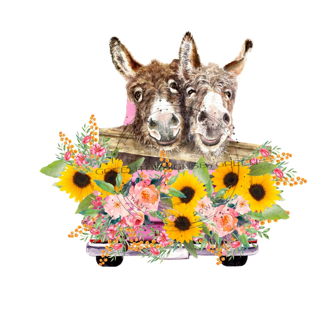 Donkey PNG, Vintage Truck Sublimation, Spring Clipart, Farm Animal ...