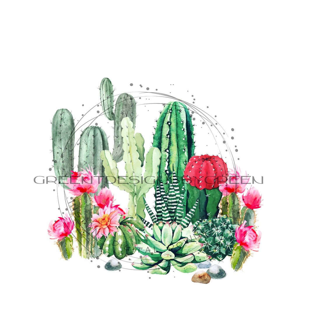 Floral Desert Cacti Sublimation PNG Classic Cactus Varieties - Etsy