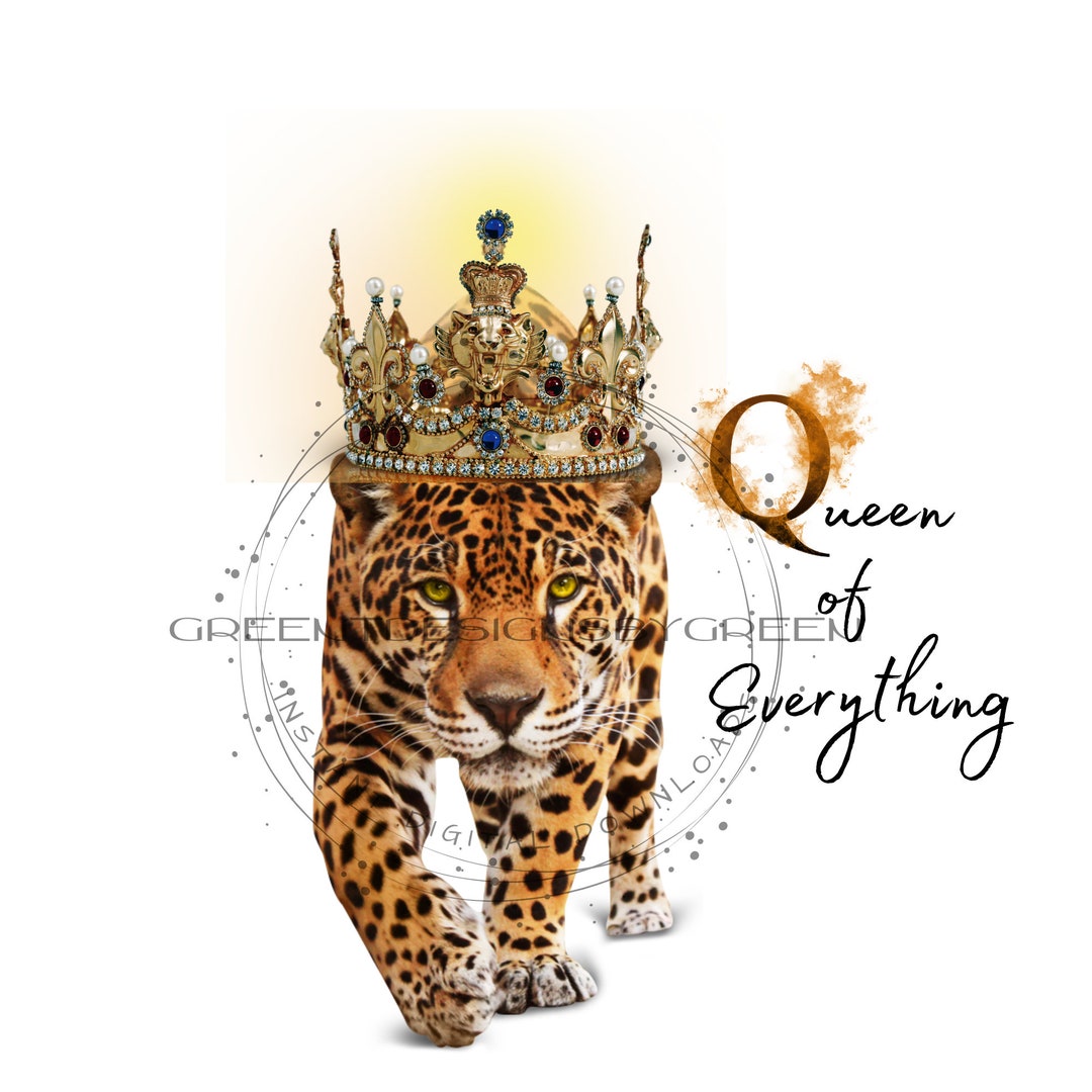 Tiger PNG, queen of Everything Clipart, Zoo Animal Sublimation ...