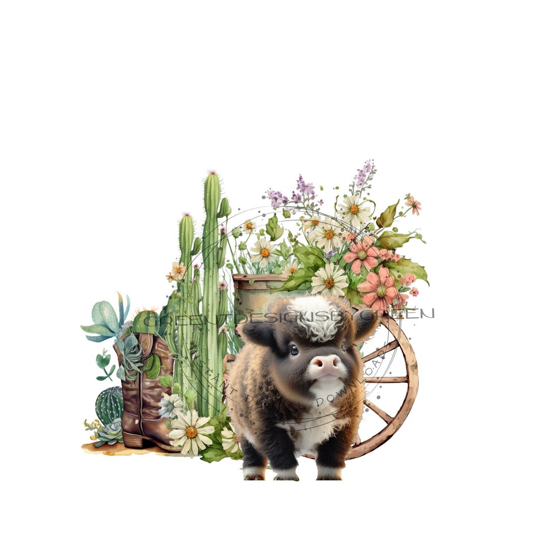 Highland Longhaired Cow PNG, Cow, Wagon Wheel, Wheel Barrow, Cactus ...