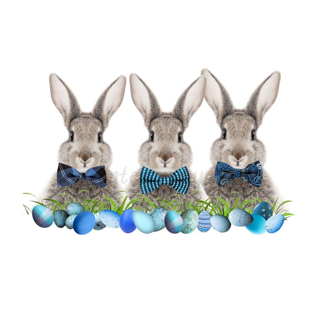 Three Bunny Rabbits PNG With Blue Bow Ties and Easter - Etsy