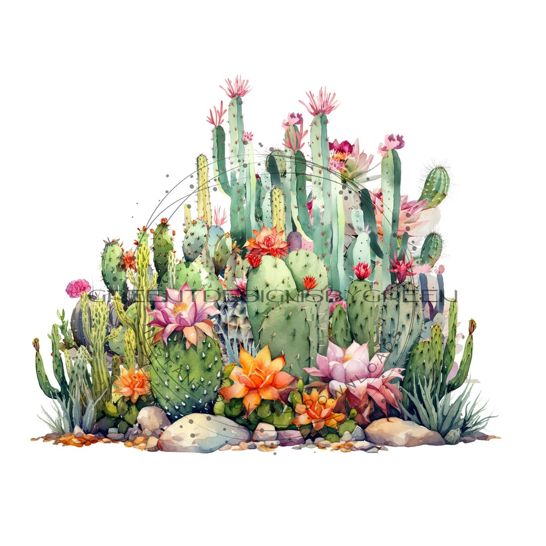 Cactus & Succulents Clipart - Desert Digital Download - Western Image ...