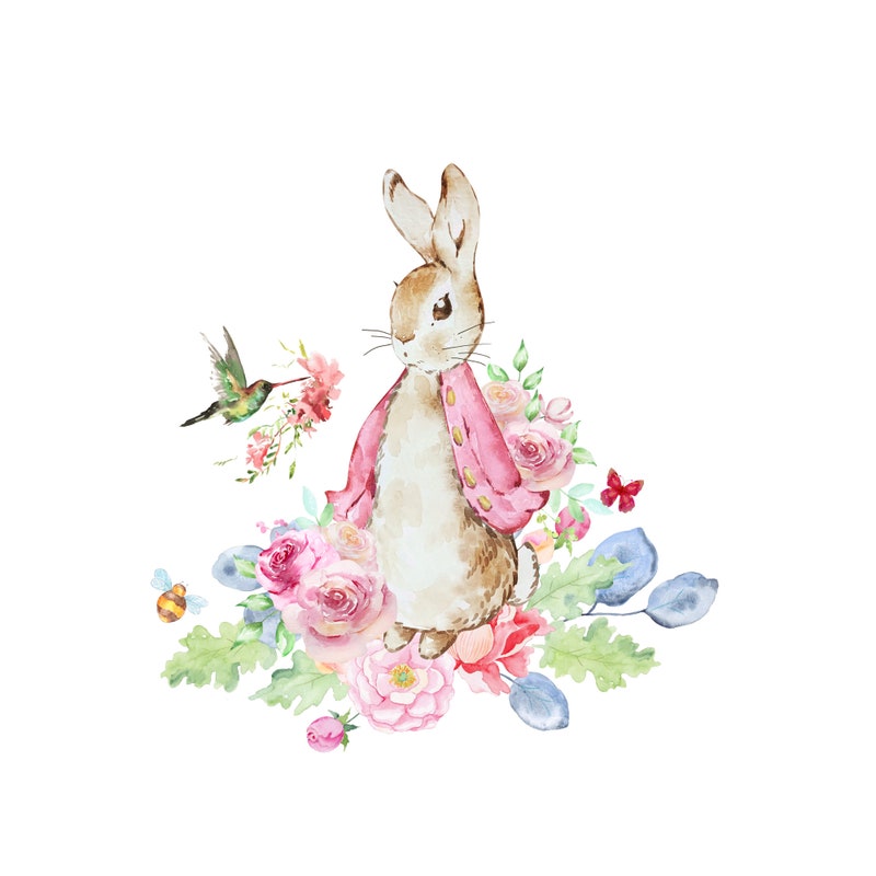 Peter Rabbit Clipart - Etsy