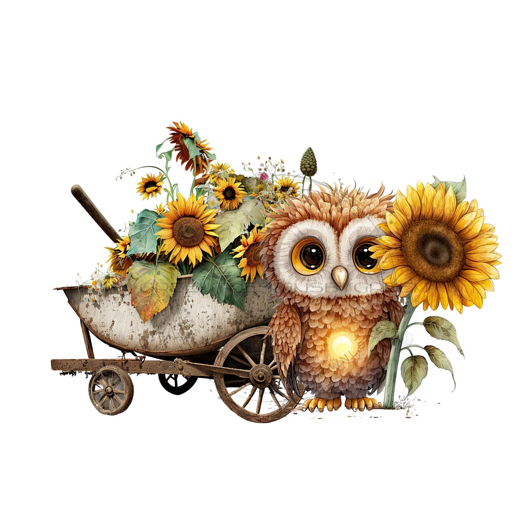 Owl PNG, Watercolor Owl in Wheel Barrow Sublimation, Wildflower Image ...