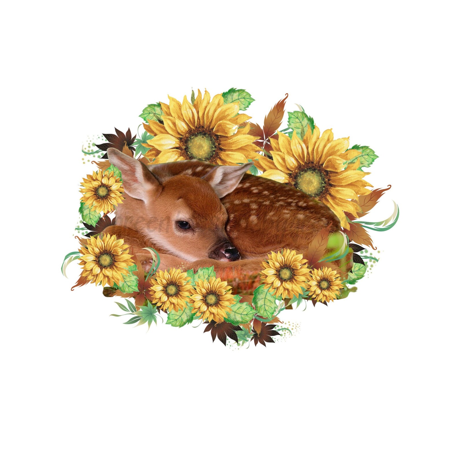 Deer PNG Sunflower PNG Fawn Clipart Baby Deer Sublimation - Etsy