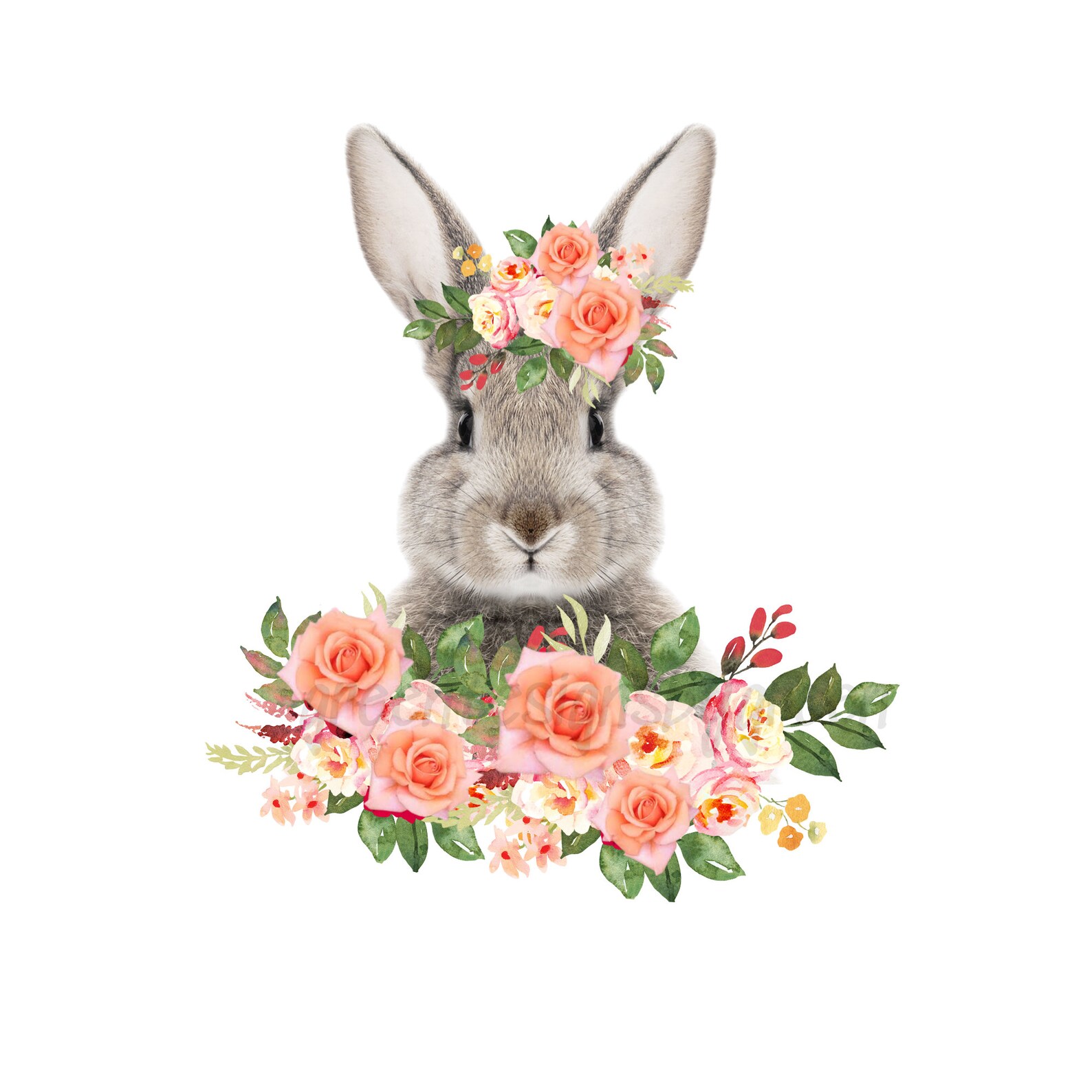Bunny Rabbit PNG Easter Clipart PNG Easter Rabbit PNG Bunny - Etsy