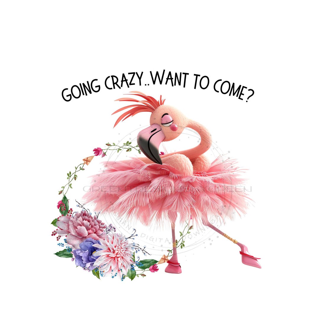 Silly Pink Flamingo Clad in Tutu PNG for Sublimation Pink Ballerina ...