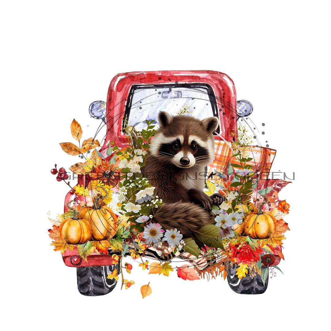 Autumn Raccoon in Whimsical Truck Bed PNG Fall Leaves, Flowers ...
