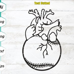 Baseball Heart Svg, Anatomical Heart SVG, Cardiology Sport Svg, Cricut ...