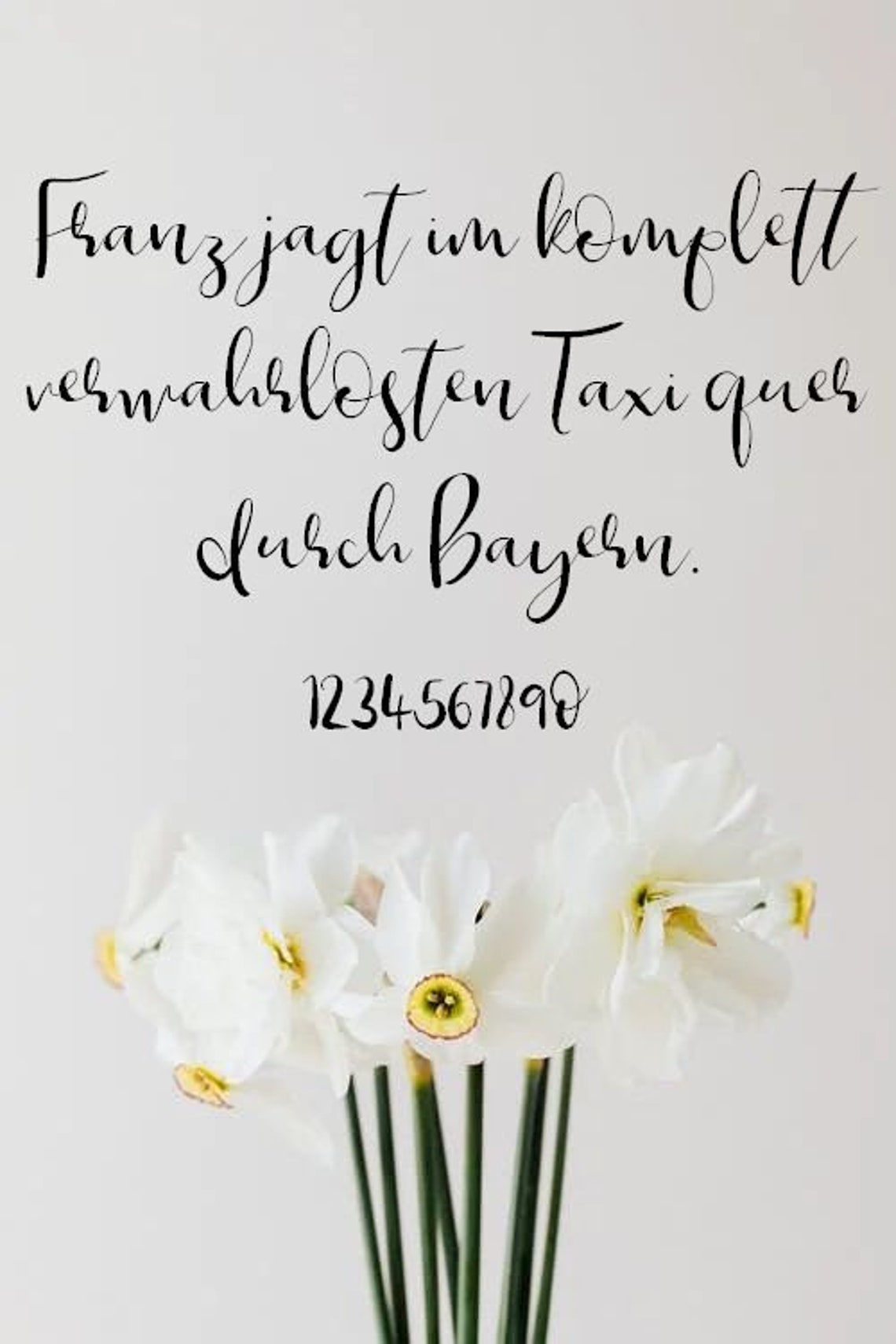 Boom & Farrow Font Bounce Character Font Hand Written Script | Etsy