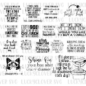 32 Sassy Petty SVG Bundle - Etsy