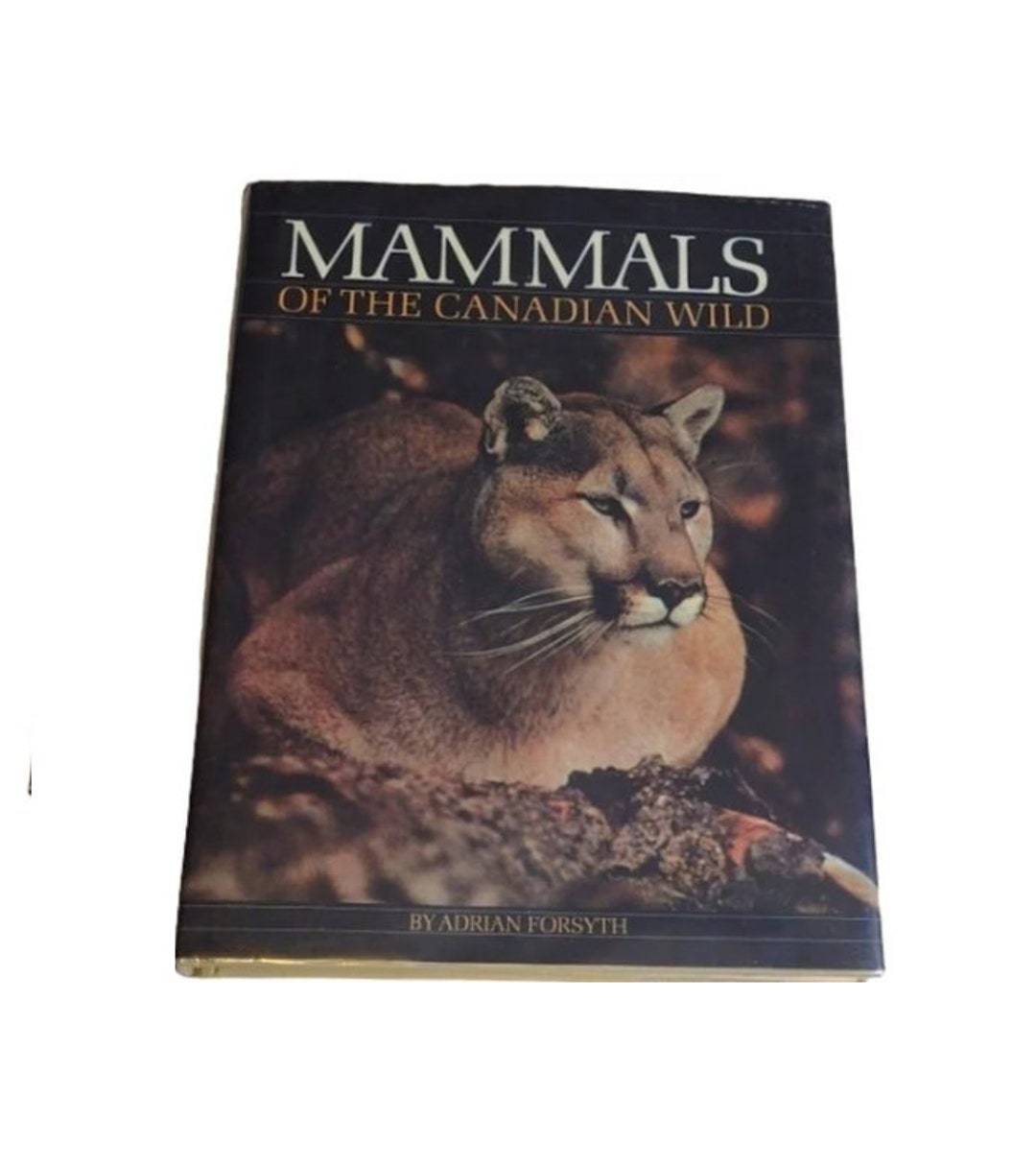 Vintage Hardcover Book Mammals of the Canadian Wild by Adrian Forsyth ...