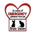 Pet Emergency Decal, Pet Emergency Sticker, in Case of Emergency, Pet ...