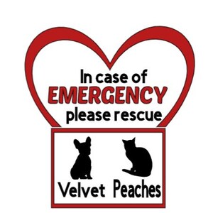Pet Emergency Decal, Pet Emergency Sticker, in Case of Emergency, Pet ...