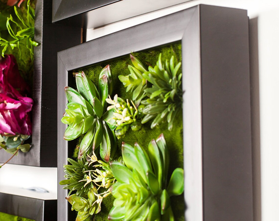 Artificial Plant Succulent Wall Art Succulent Wall Art - Etsy