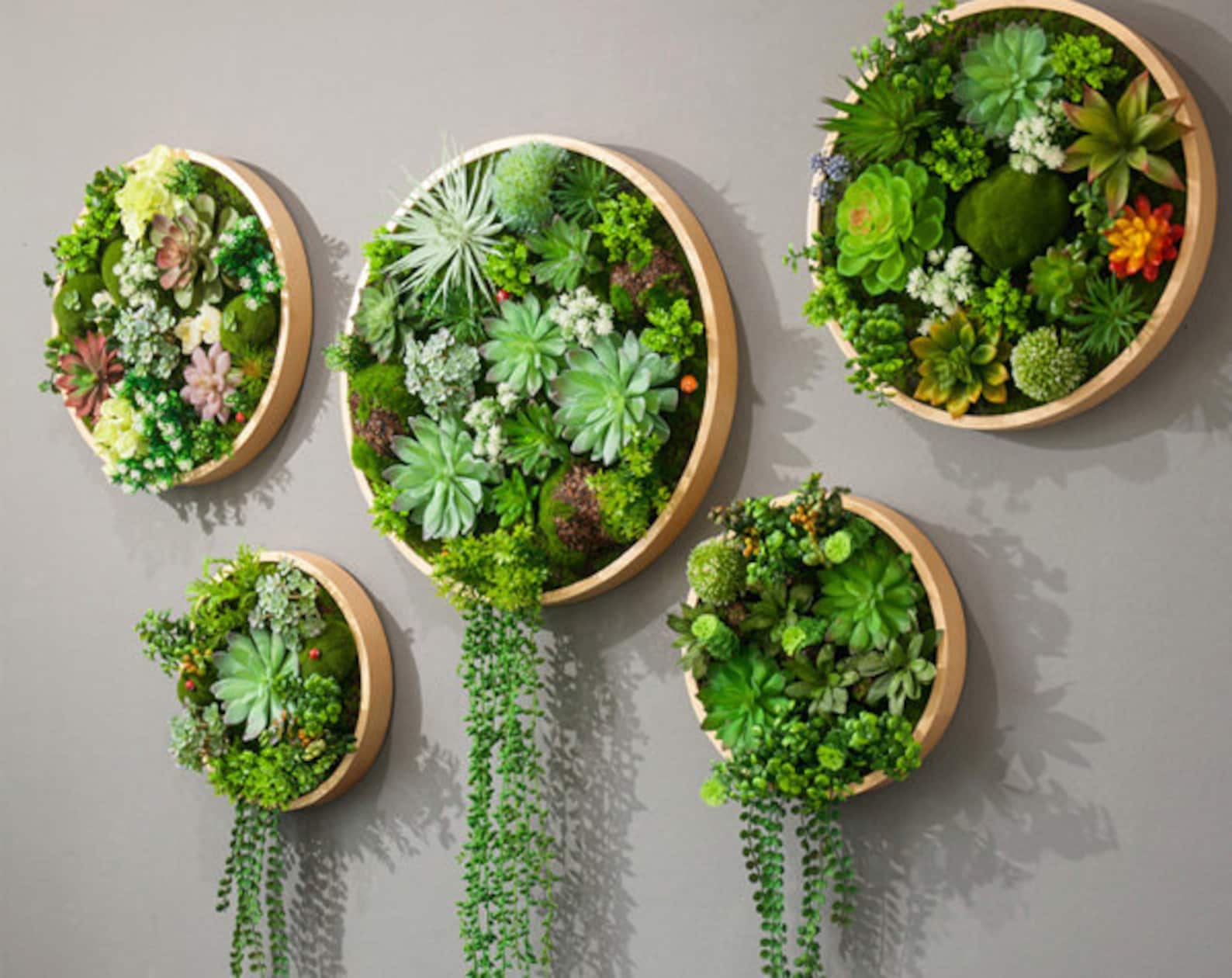 Succulent Wall Art Home Decor | Faux Succulents | Decor Living Wall Art ...