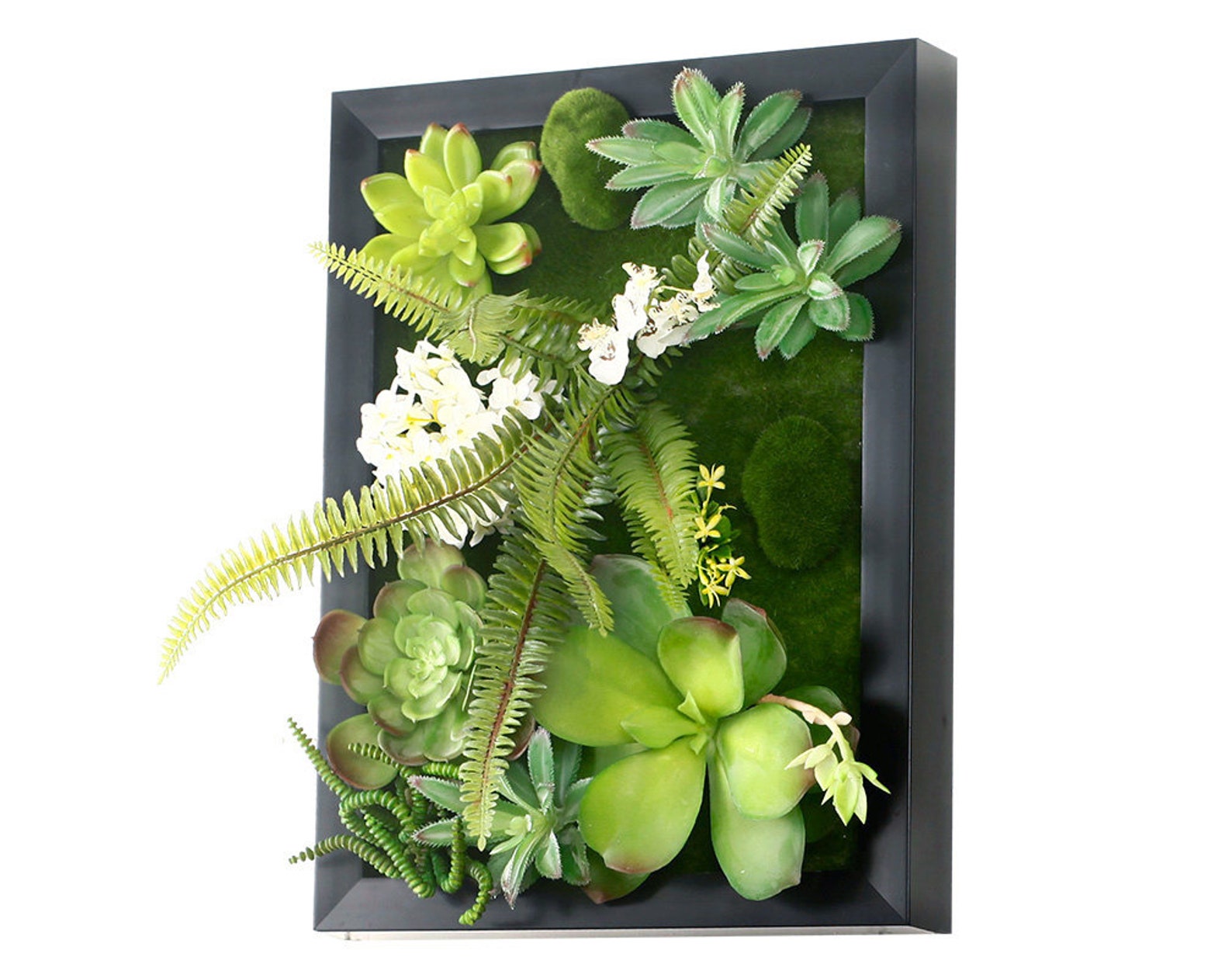 Artificial Plant Succulent Wall Art Succulent Wall Art - Etsy