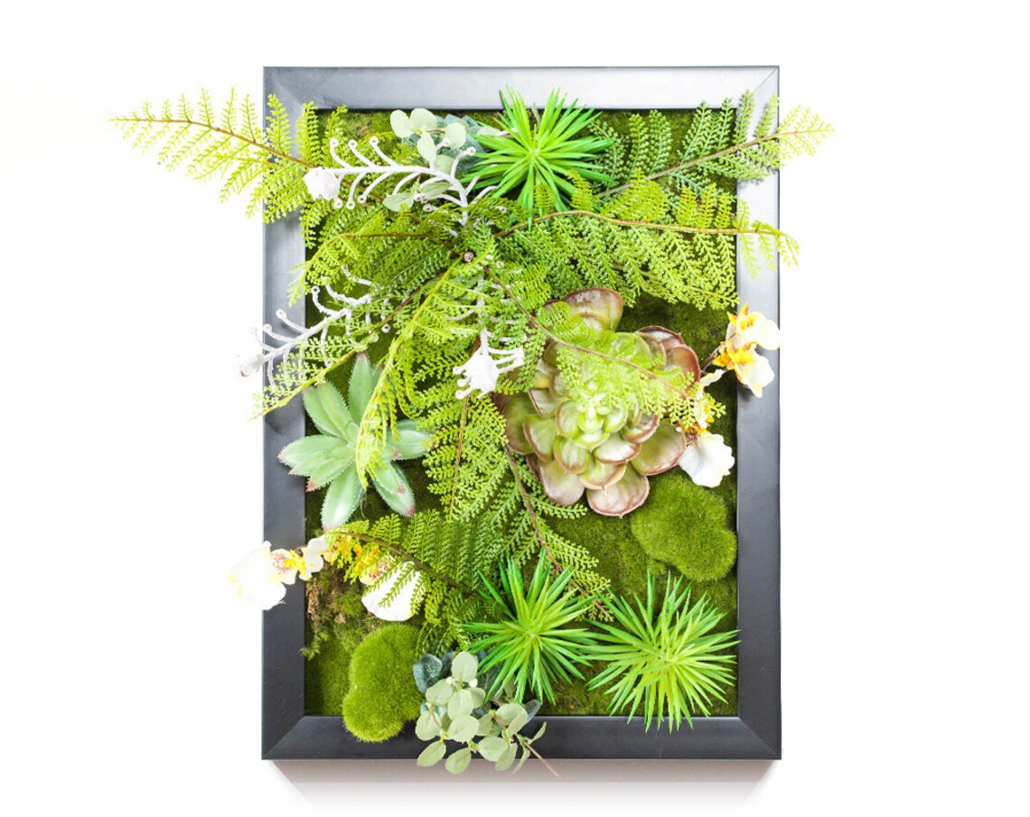 Artificial Plant Succulent Wall Art Succulent Wall Art - Etsy