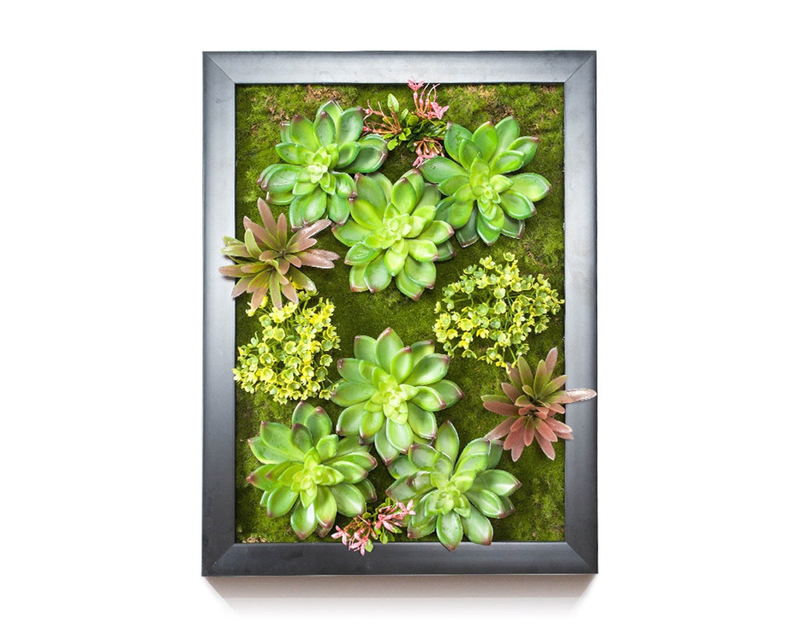 Artificial Plant Succulent Wall Art Succulent Wall Art - Etsy
