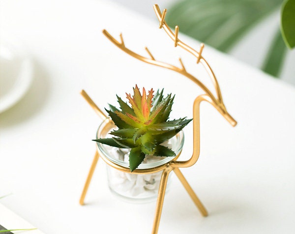Golden Elk Creative Living Room Interior Succulent Jewelry - Etsy