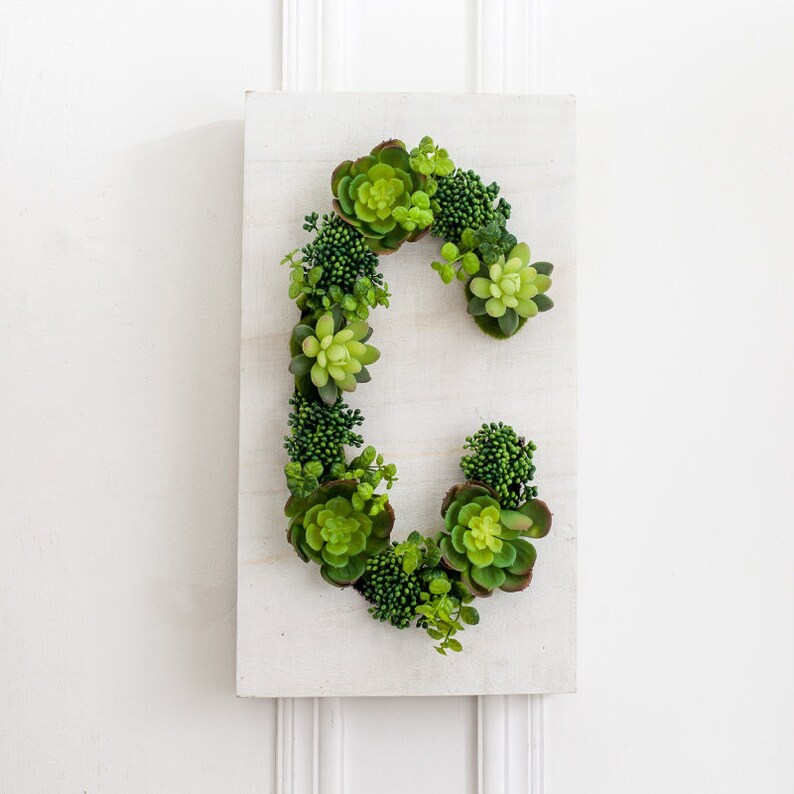 Artificial Plant Succulent Wall Art Succulent Wall Art - Etsy