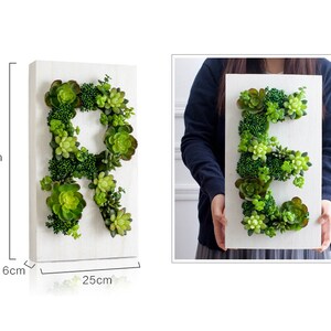 Artificial Plant Succulent Wall Art Succulent Wall Art - Etsy