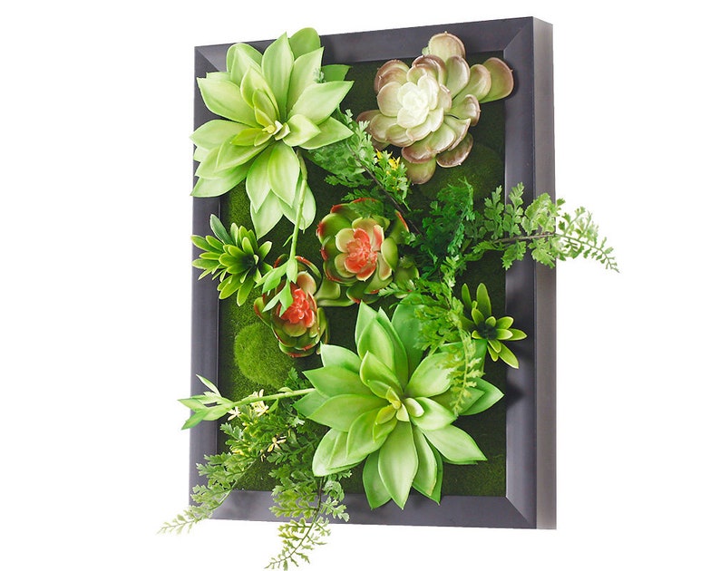 Artificial Plant Succulent Wall Art Succulent Wall Art - Etsy